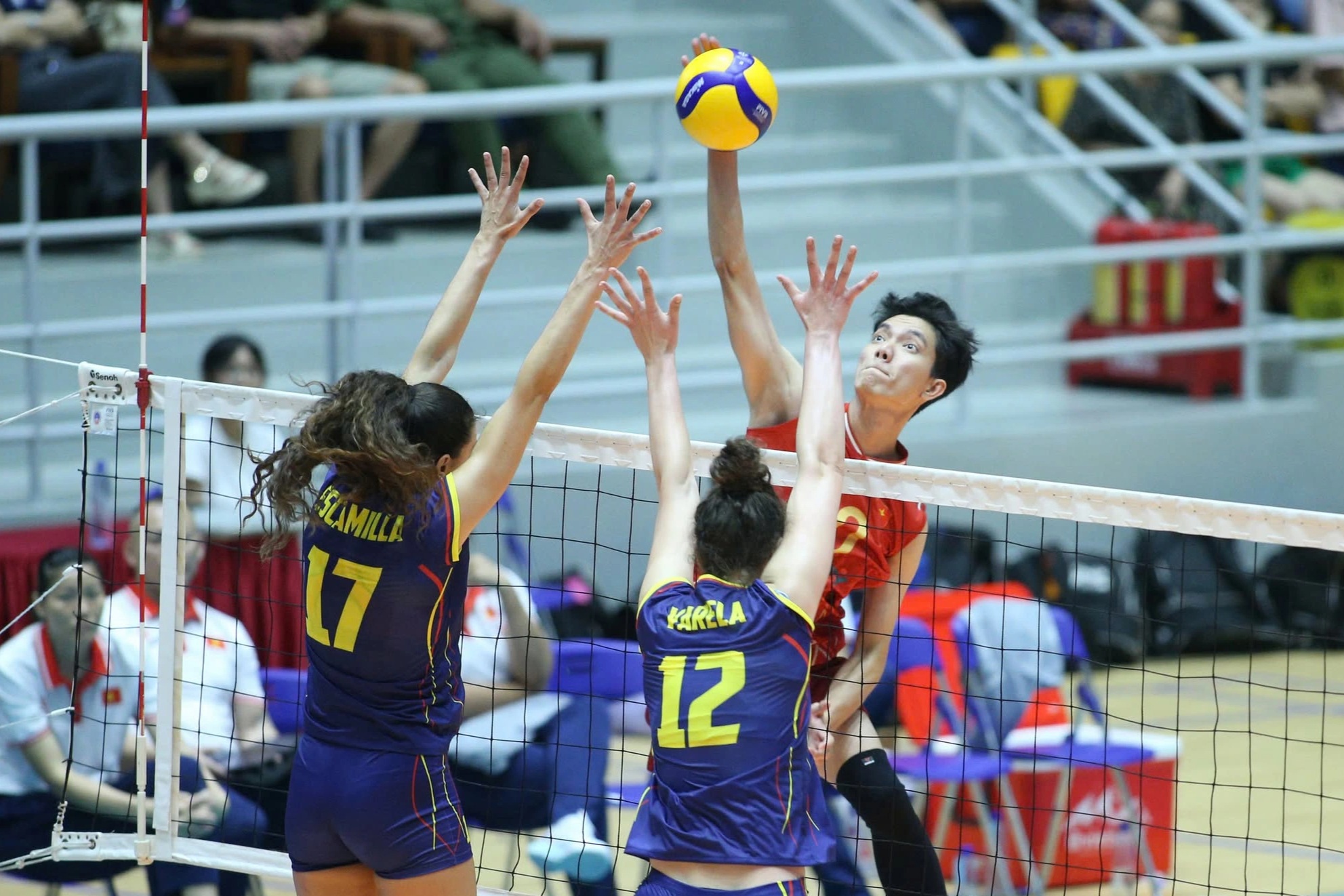 Bich Tuyen suddenly withdrew from the Vietnam women's volleyball team