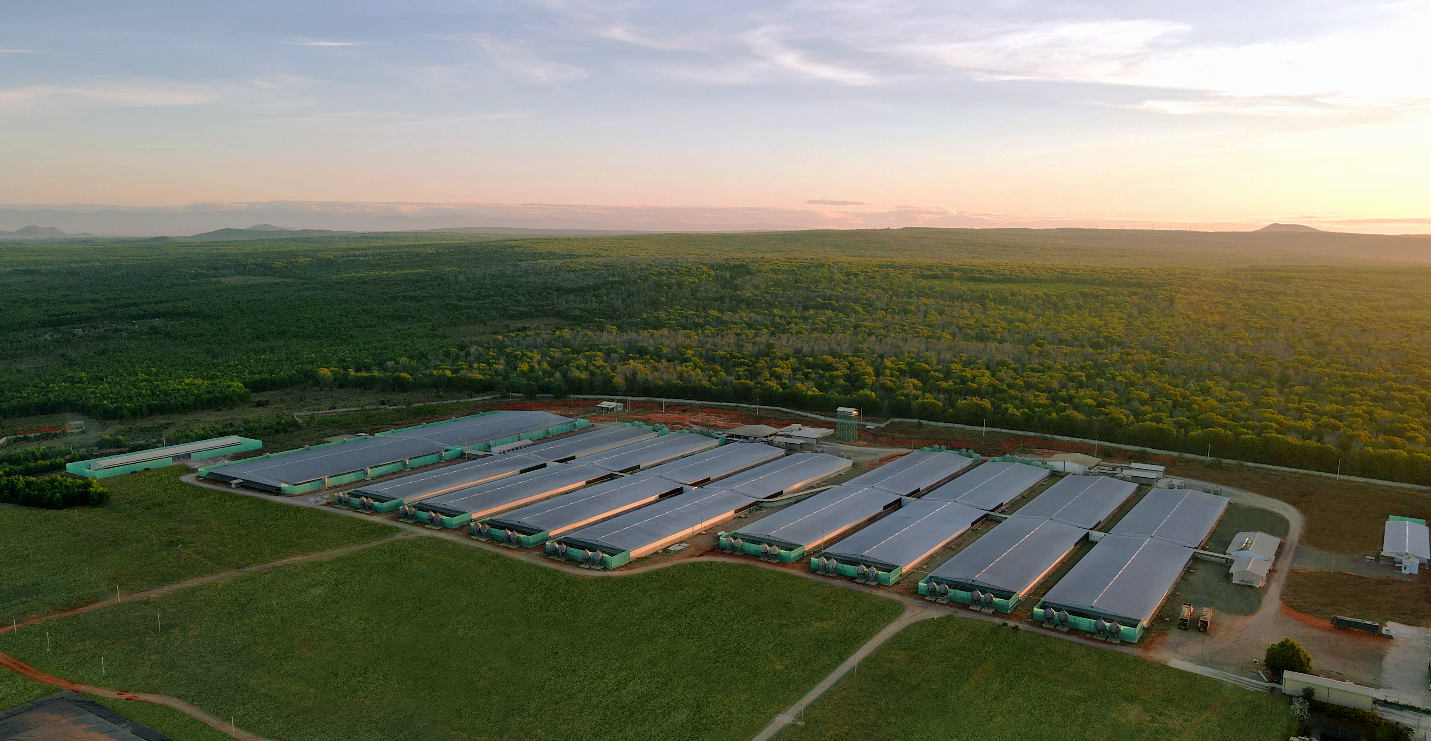 GREENFEED được vinh danh top 10 doanh nghiệp bền vững Việt Nam năm 2023 ...