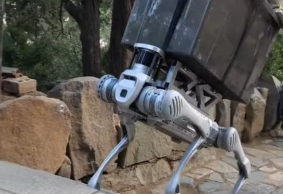 Khu du lịch dùng chó robot chuyển đồ nhanh thoăn thoắt, khách ngạc ...