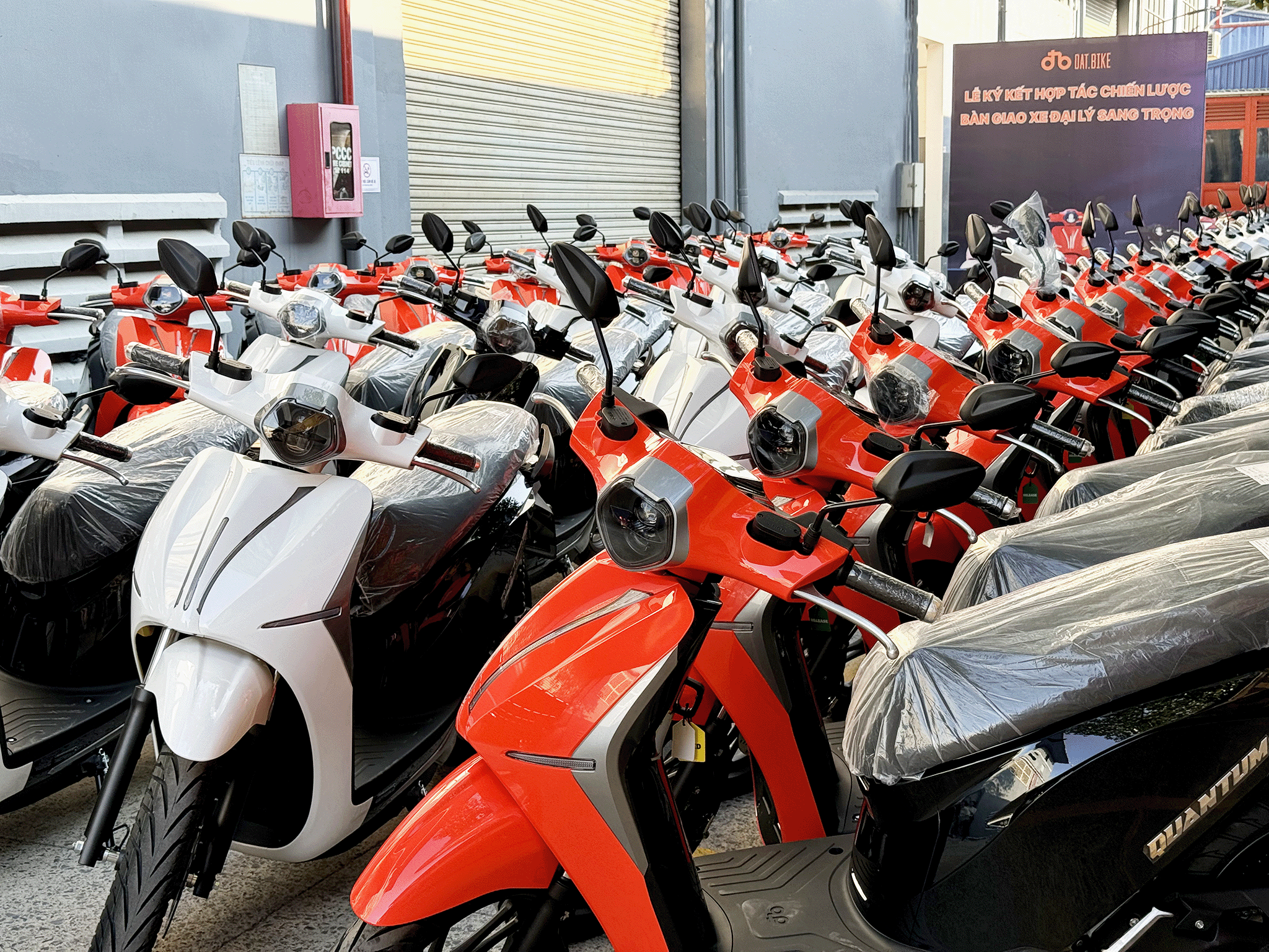Dat Bike bàn giao 100 xe máy điện Quantum cho đại lý Sang Trọng | Báo ...