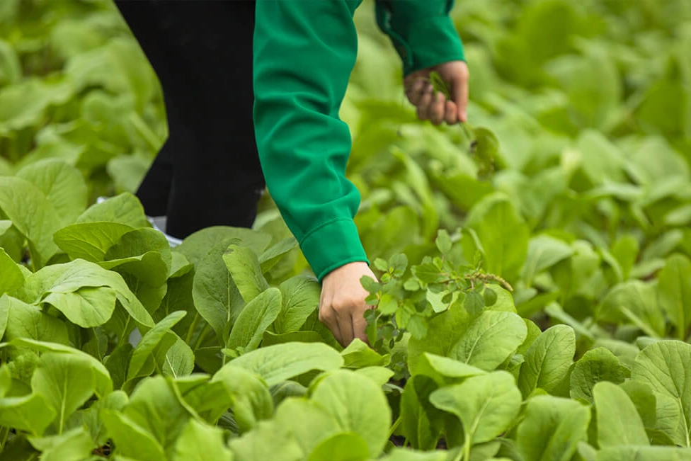 Thế Giới Di Động giải thể "ước mơ" của ông Nguyễn Đức Tài | Báo Dân trí