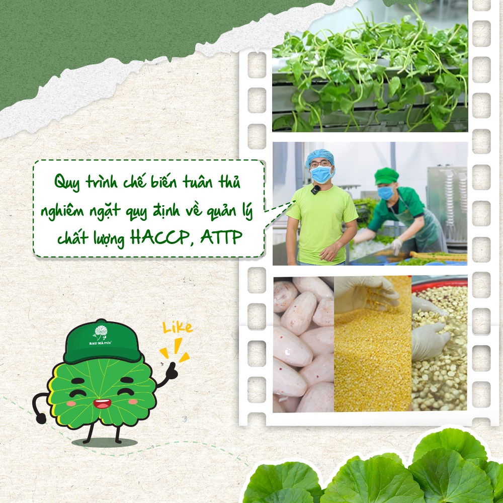 Rau Má Mix và hành trình 5 năm phát triển cùng nông sản Việt | Báo Dân trí