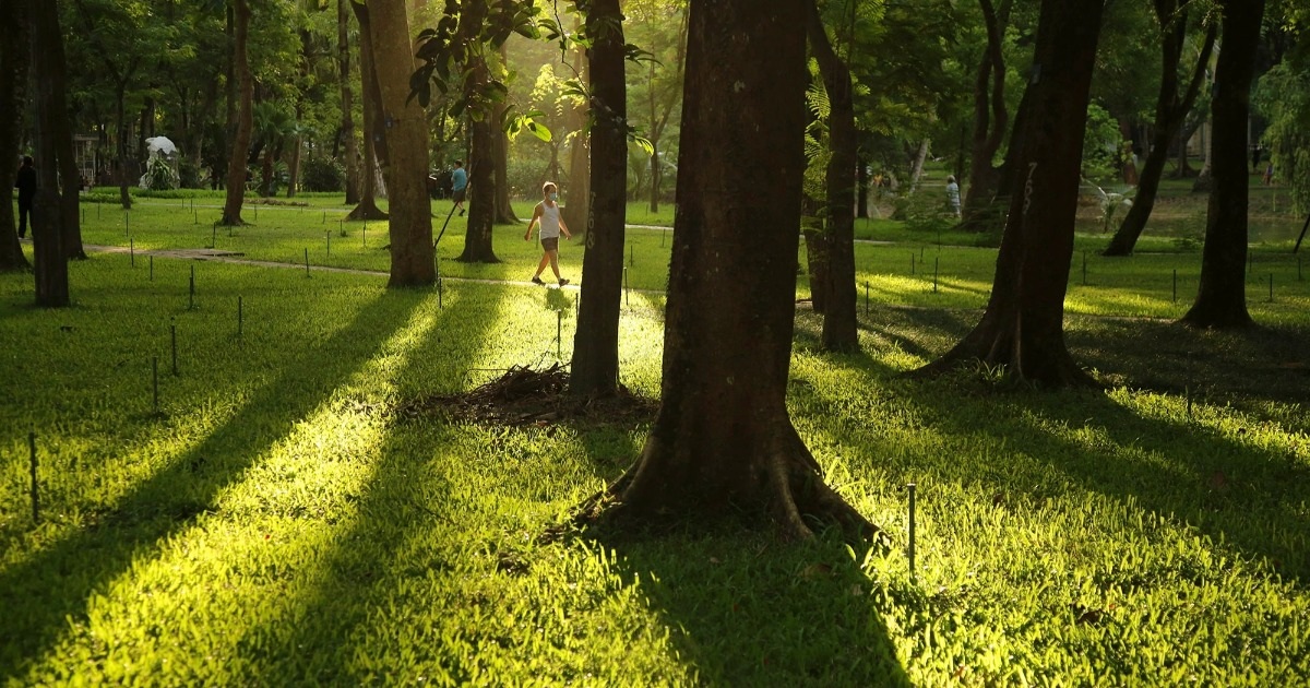Những không gian xanh tuyệt đẹp của Thủ đô | Báo Dân trí
