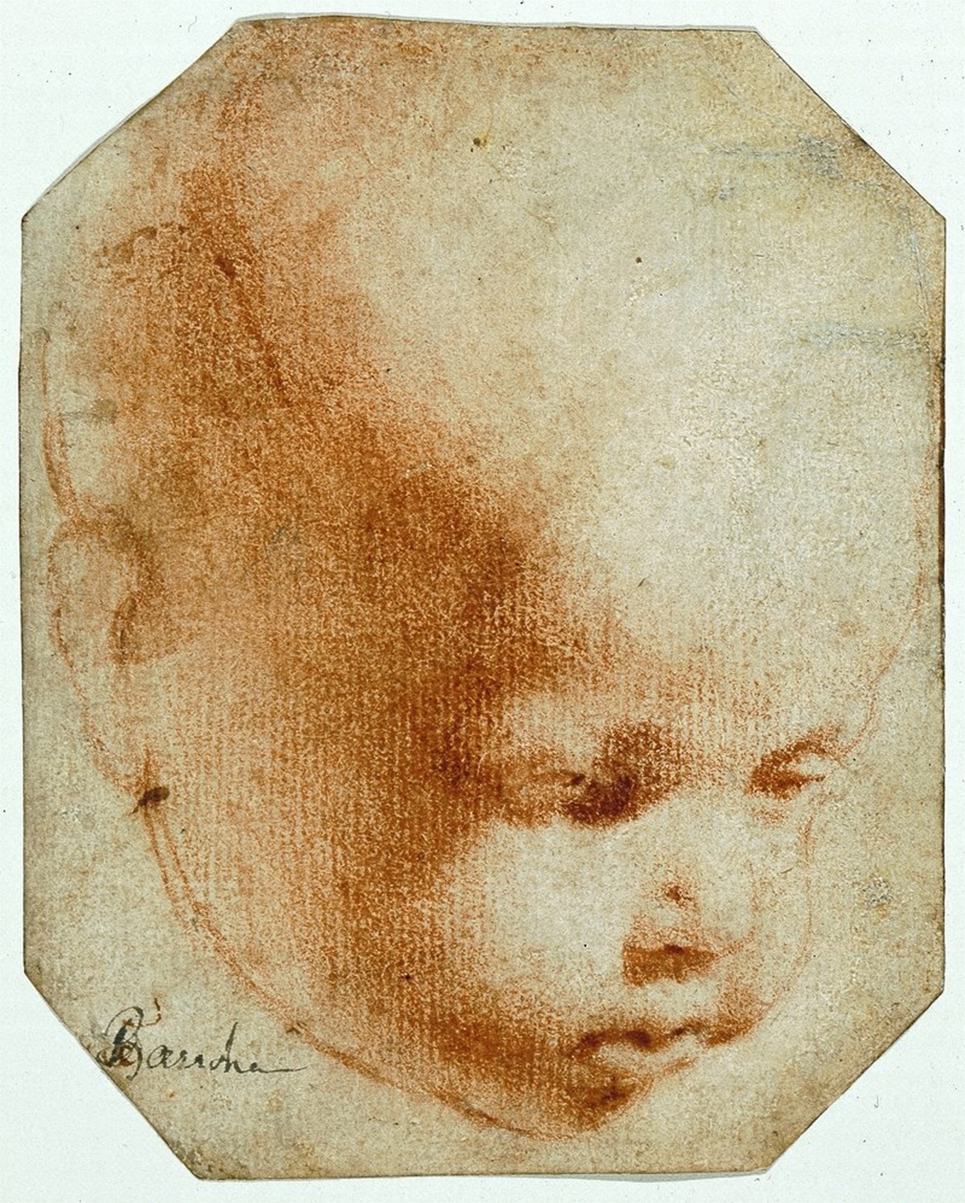 Tracing Leonardo da Vinci's DNA in a 500-year-old painting.