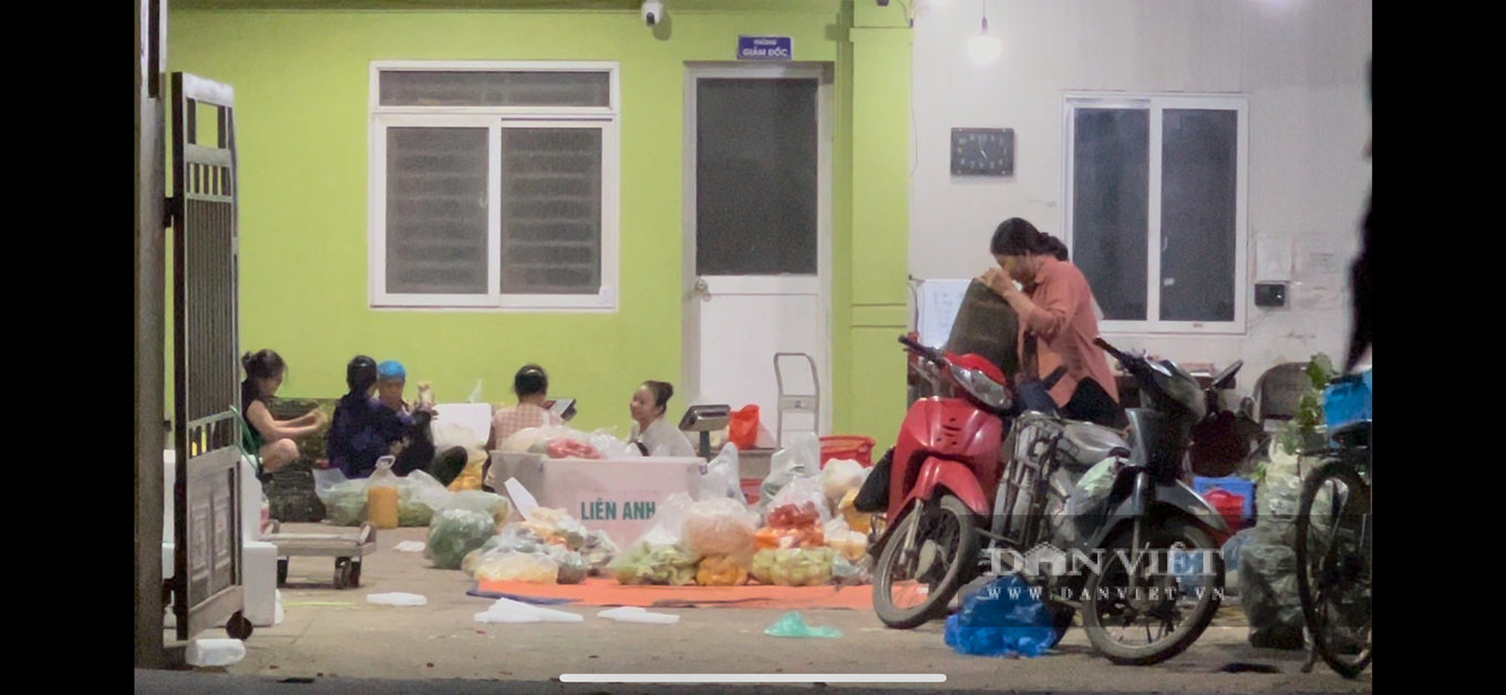 Hà Nội kiểm tra thông tin "phù phép rau trôi nổi vào trường học, siêu thị" | Báo Dân trí