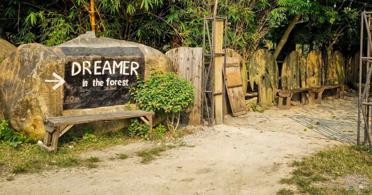 Đình chỉ hoạt động khu du lịch Dreamer In The Forest tại Đà Nẵng | Báo ...