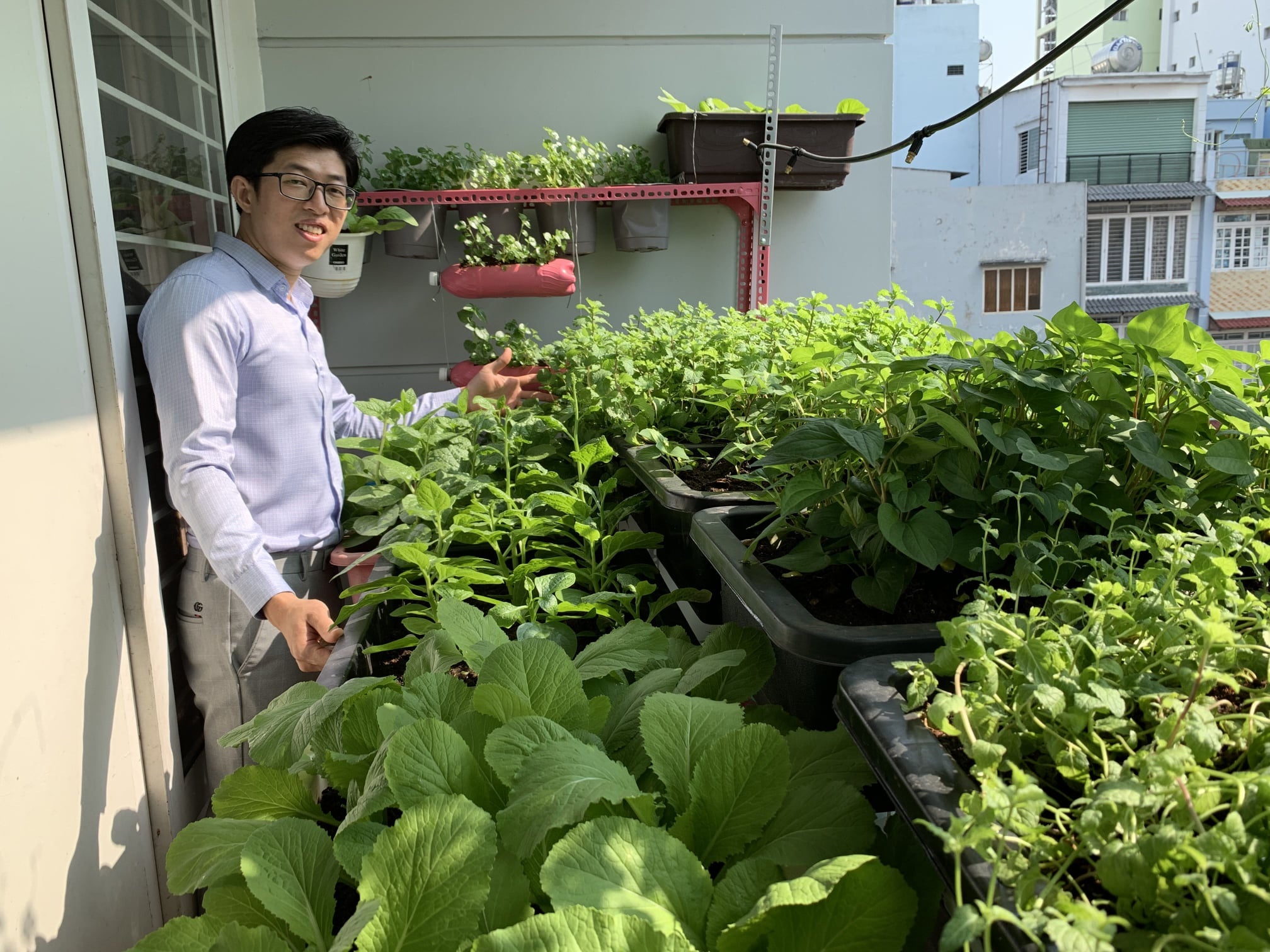 Ban công 3m2 tràn ngập hương thơm của gia đình tại TPHCM | Báo Dân trí