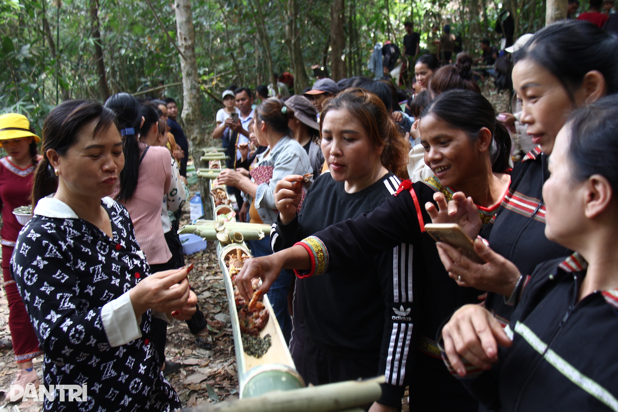 Độc đáo nghi lễ cúng rừng của người Jrai | Báo Dân trí