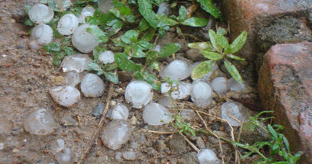 Mưa đá có thể tái diễn ở miền Bắc cùng với không khí lạnh | Báo Dân trí