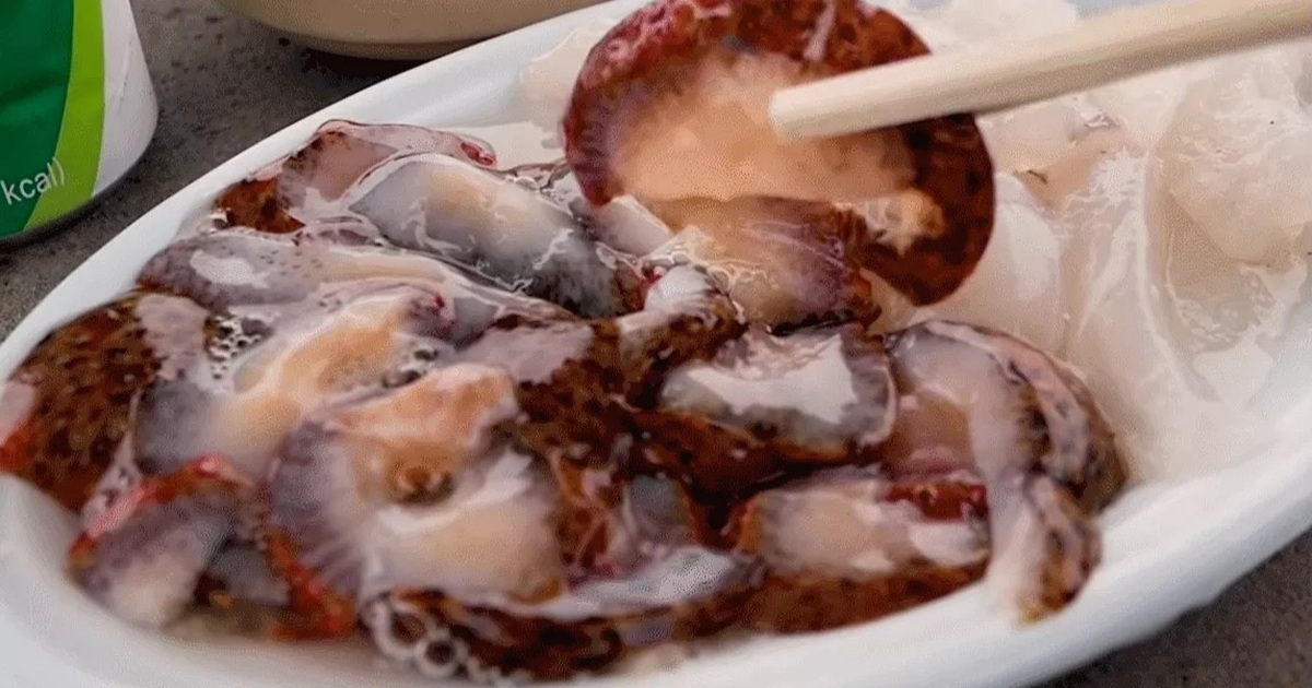 Lạ lùng loại "nhân sâm biển" càng xấu càng đắt, có giá tới 68 triệu ...